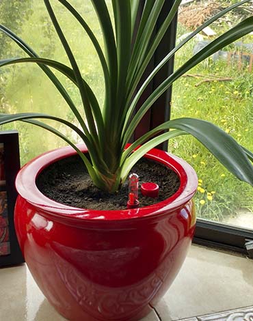 Maceteros tinajas en fibra de vidrio en el color que usted desea, en ...